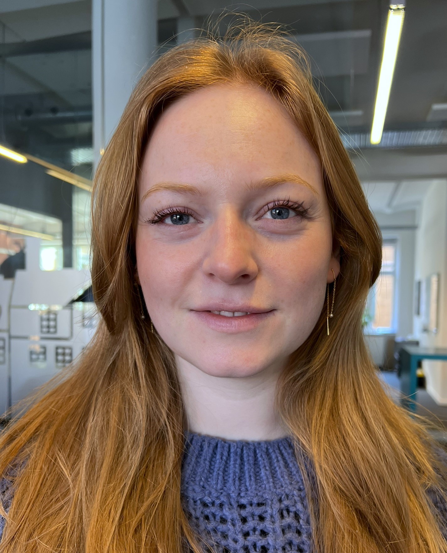 Om Greater Copenhagen | Greater Copenhagen